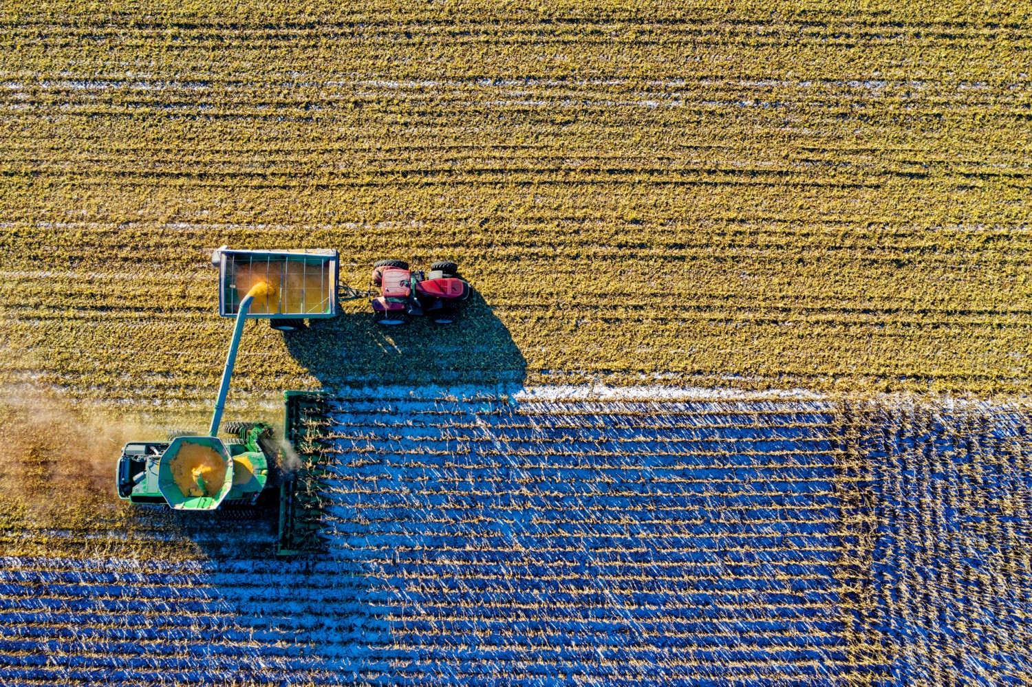 5 Easy Tips for Effective Real Estate Farming 5 Easy Tips for Effective Real Estate Farming
